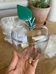 Amazon.com: Didaey 24 Pcs Christmas Large Apple Containers Plastic ...