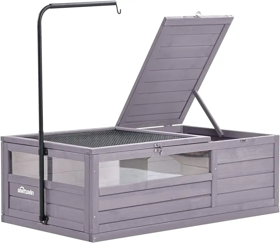 Understanding Brumation In Box Turtles: A Guide To Their Winter ...