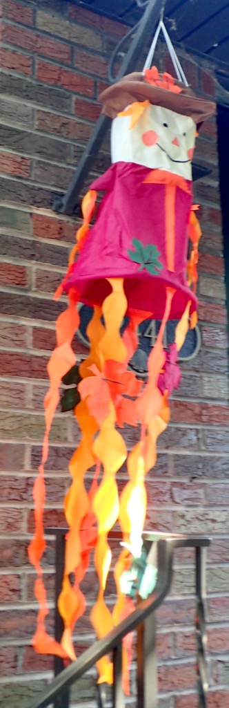 Amazon.com : Evergreen Flag Mr. Scarecrow Windsock Outdoor Decor ...