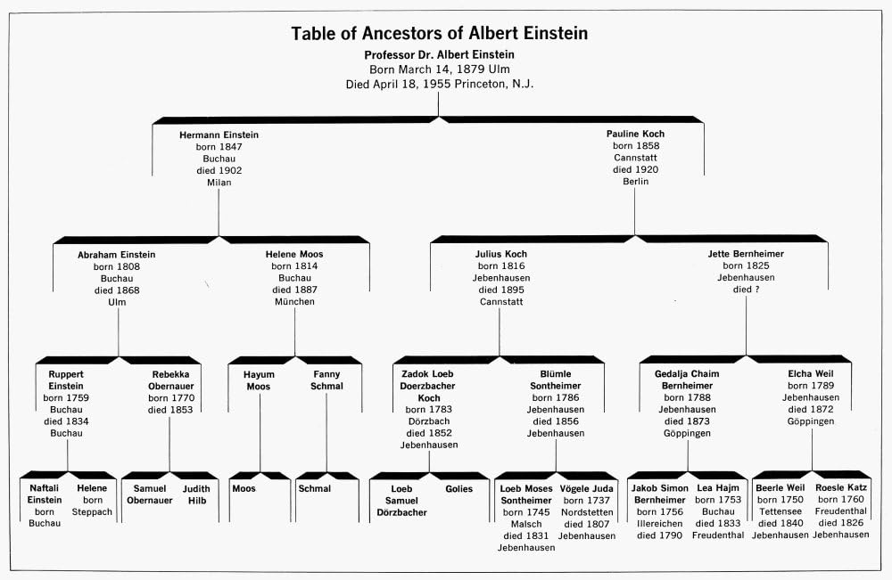 Amazon.com: Einstein Family Tree Ntable Of Ancestors Of American ...