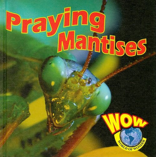 Praying Mantises (World of Wonder): Hudak, Heather C.: 9781590368725 ...