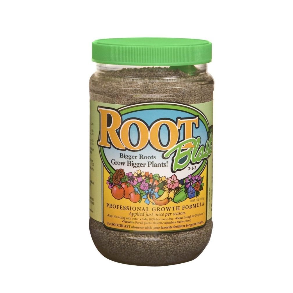 ROOTBlast 2-1-2 Growth Formula, 40-Ounce Jar : Amazon.in: Garden & Outdoors