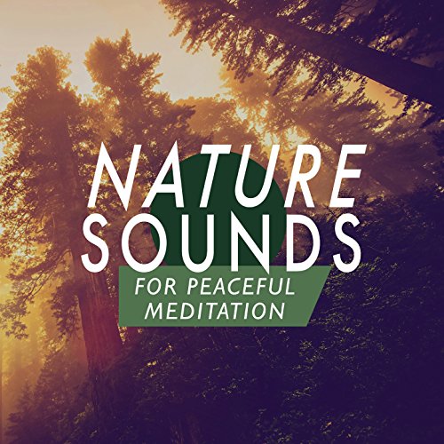 Amazon MusicでNature Sounds Radio, Ambiance Nature & Bruits naturelsの ...