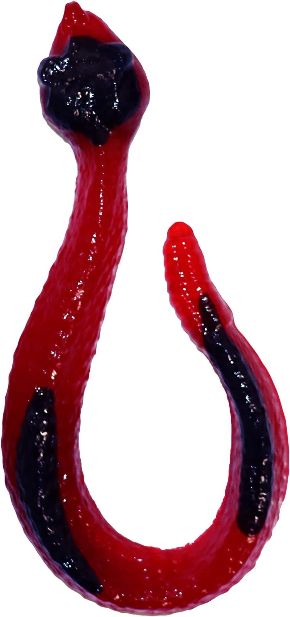 Amazon.com : Gummy Snake - Cherry/Blue Raspberry : Grocery & Gourmet Food
