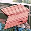 Amazon.com: Cedar Space Cedar Blocks for Closet Storage,100% Aromatic ...