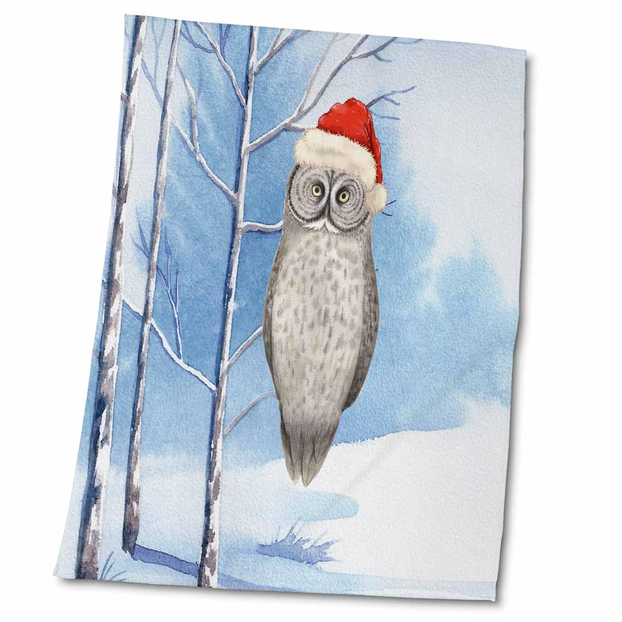 Cute Winter Owl