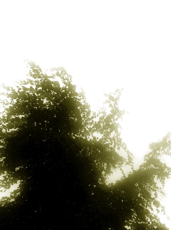 Amazon.com: Bill Bain: books, biography, latest update