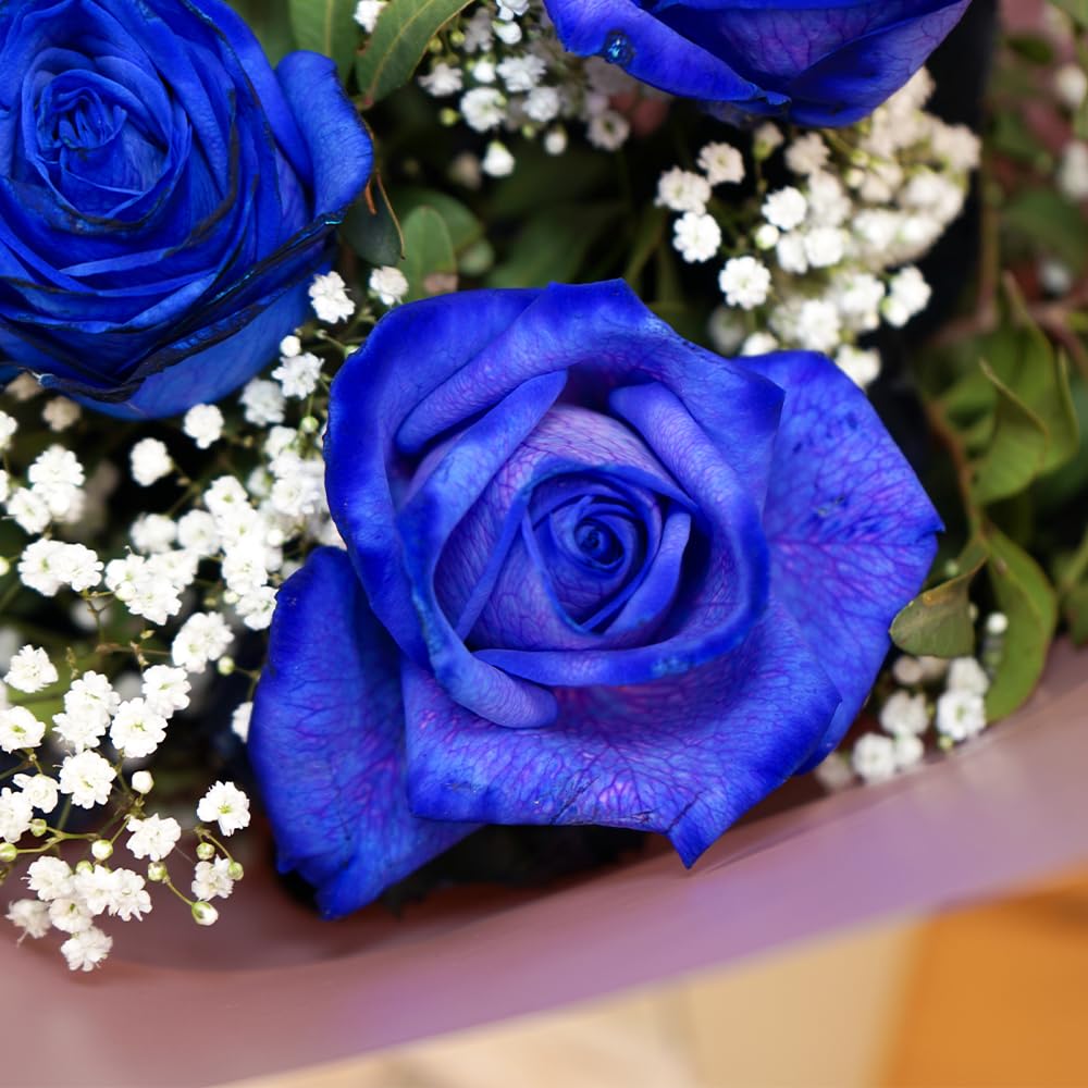 Blue Rose Flowers Photos Real Touch Blue Rose Arrangement | Preserved