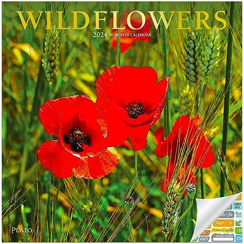 Amazon.com: Wildflowers Calendar 2024 - Deluxe 2024 Flowers Wall ...