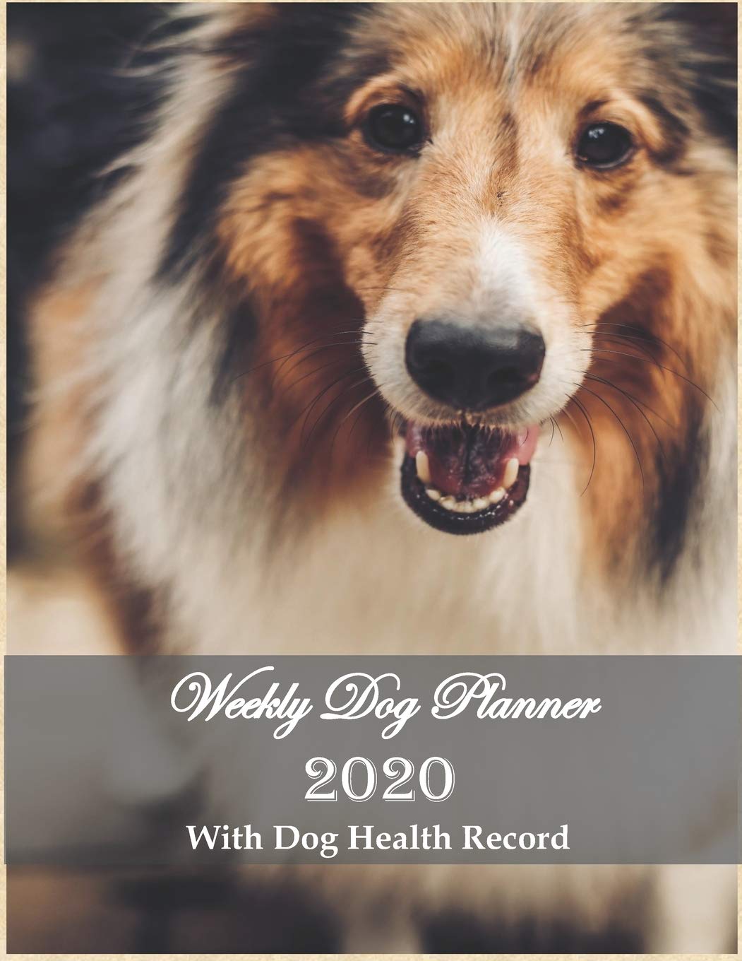 Buy Weekly Dog Planner 2020 With Dog Record: Are you the owner of an ...