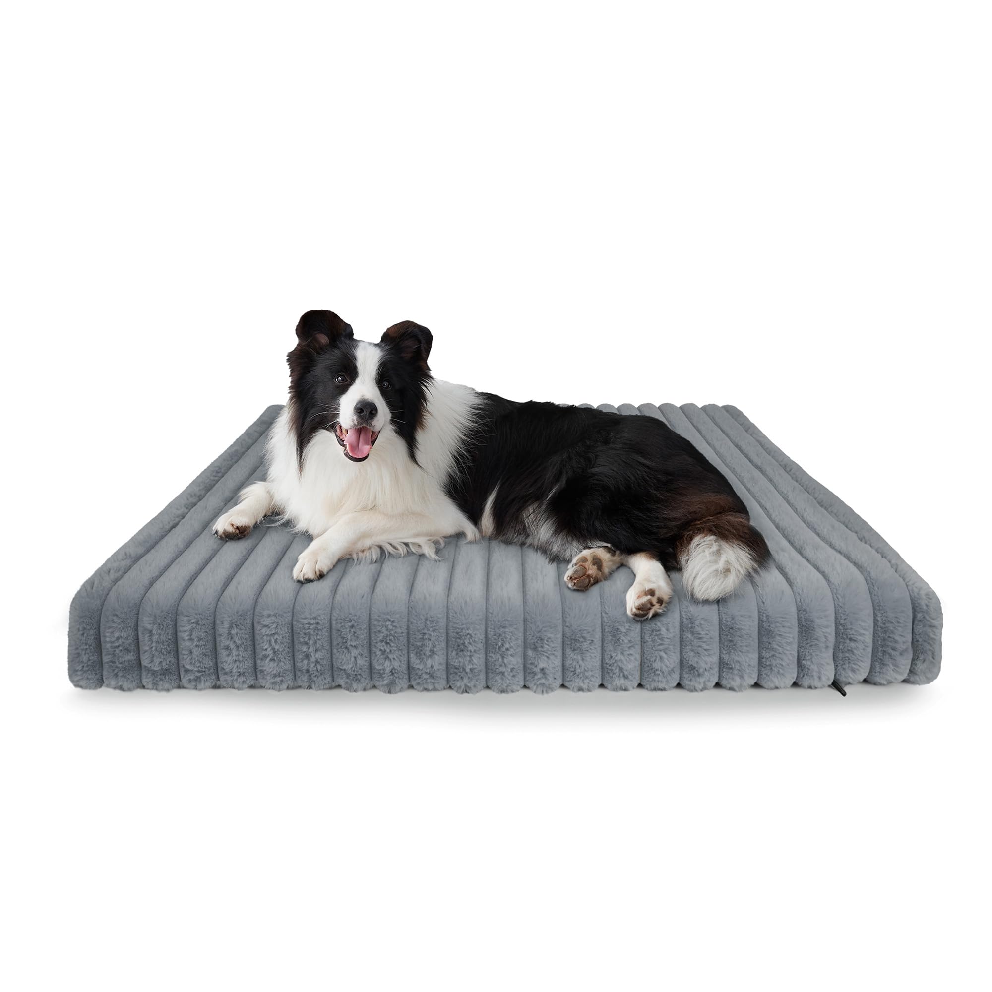 Amazon.com : Chicute Waterproof Orthopedic Large Dog Bed, Egg Foam ...