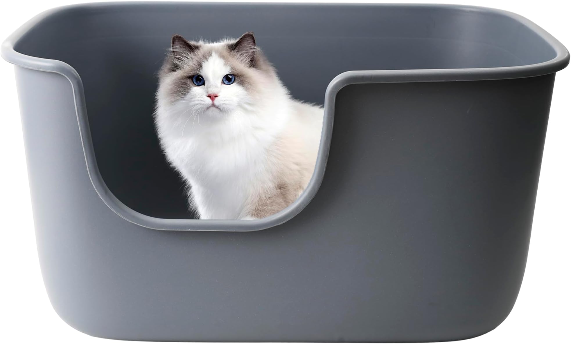 High Sided Cat Litter Tray Australia at Harry Quintana blog