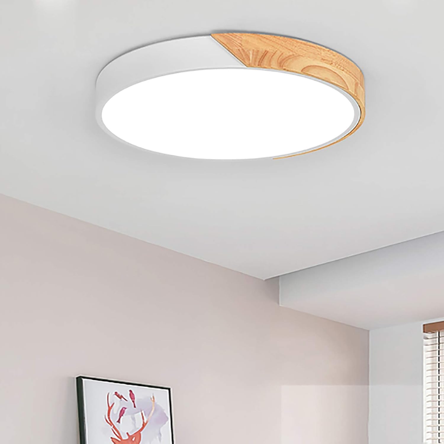 EDISLIVE Dimmable LED Ceiling Light 15 inch Modern Minimalist LED Round ...