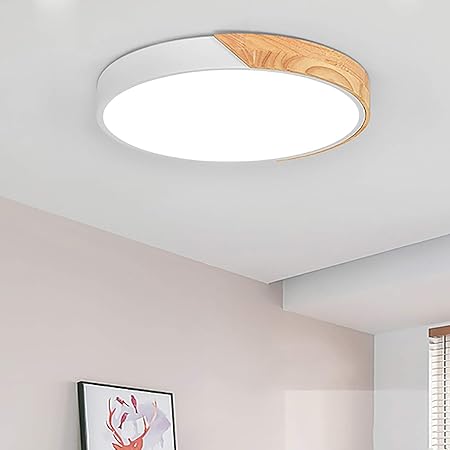 EDISLIVE Dimmable LED Ceiling Light 15 inch Modern Minimalist LED Round ...