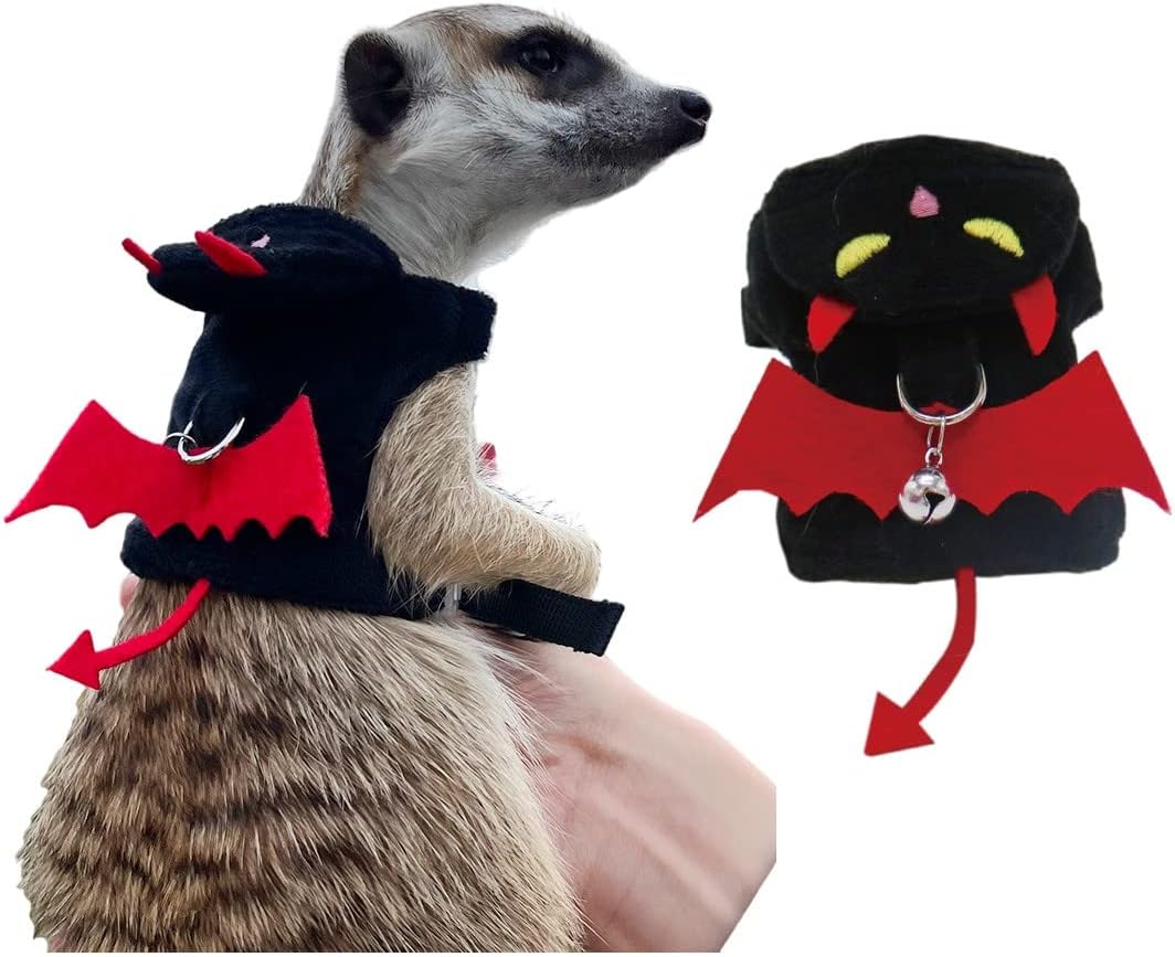 Amazon.com : Ferret Harness and Leash, Adjustable Ferret Walking Vest ...