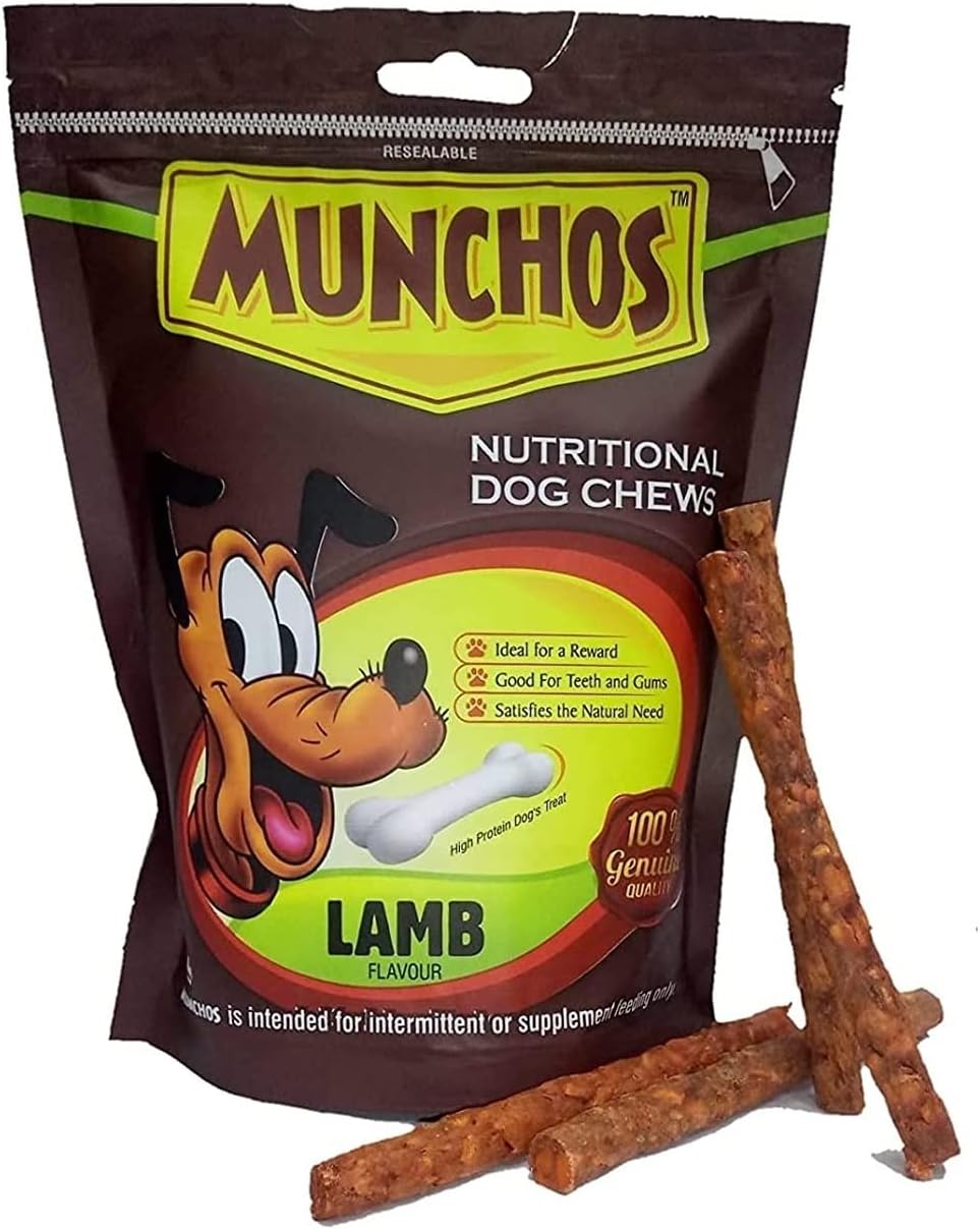 Buy MUNCHOS Premium Seeds Mix Food for All Type of Birds, 700gm JAR ...