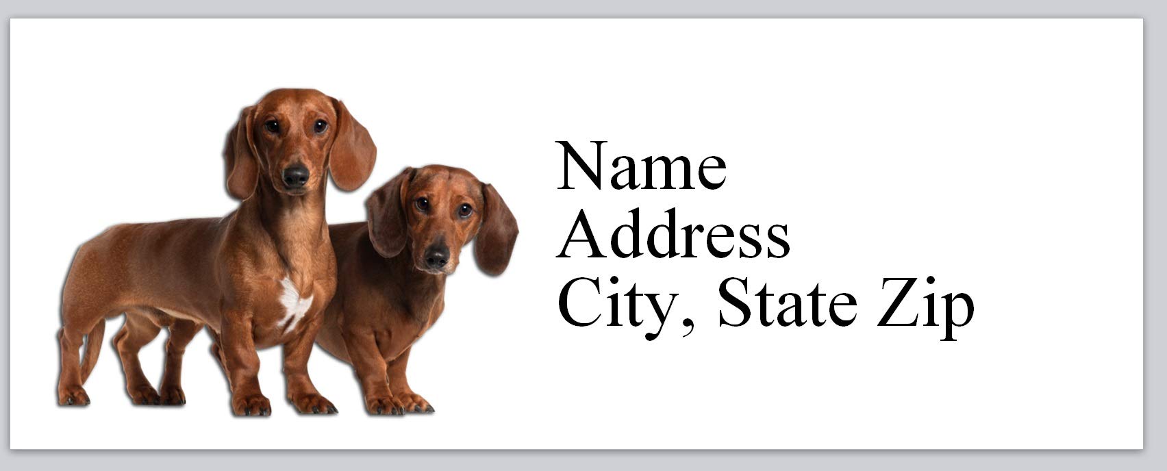 Amazon.com : 150 Personalized Matte Return Address Labels Dogs ...