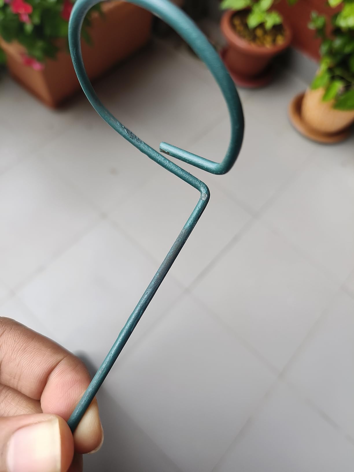 BLOOMAX® - 9 Inch, Metal Plant Support Stakes With Amaryllis Plant ...