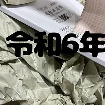 Amazon.co.jp: 最新 令和6年度 1級建築士 総合資格 高確率問題 一級建築士 PYYF : おもちゃ