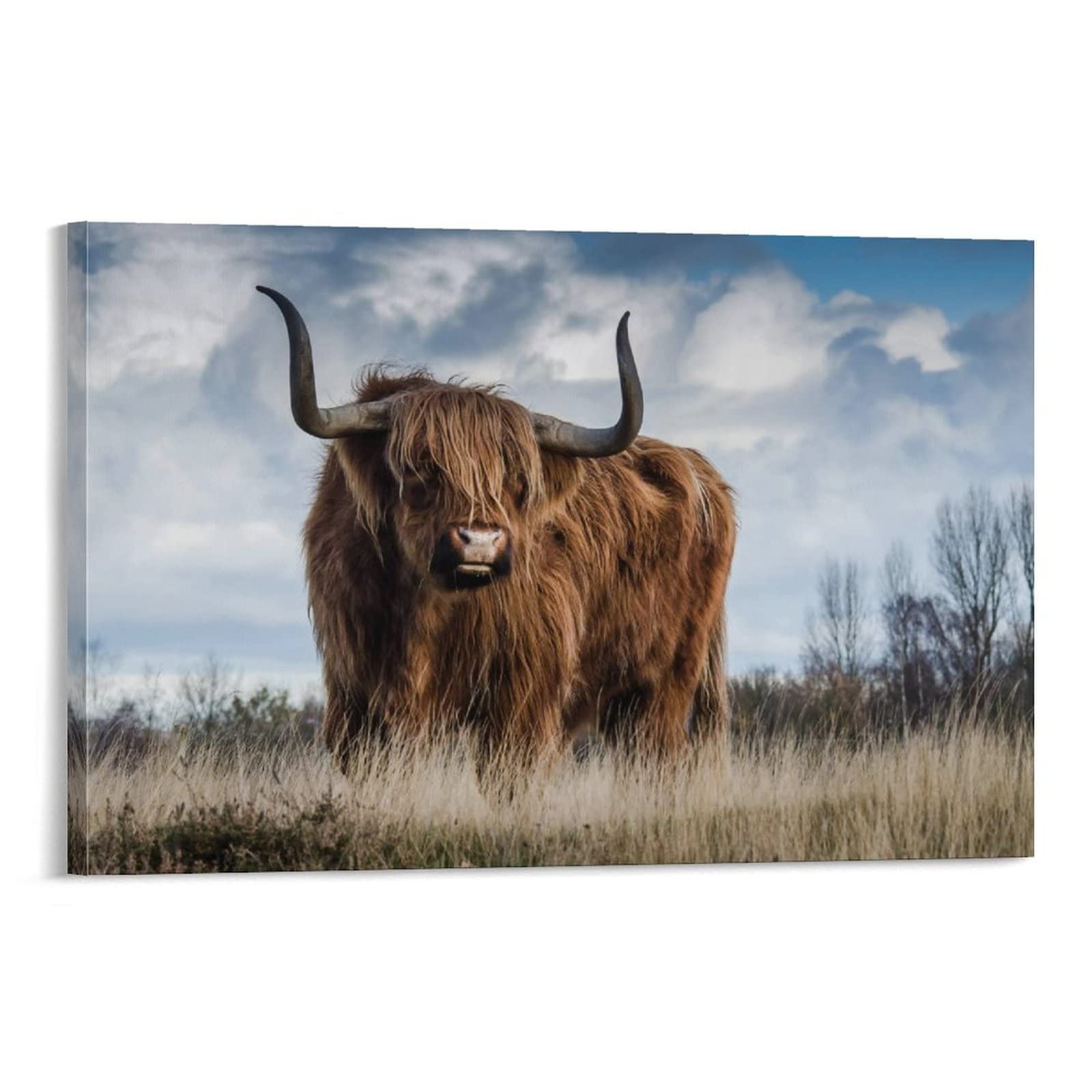 Large Longhorn Cow Print