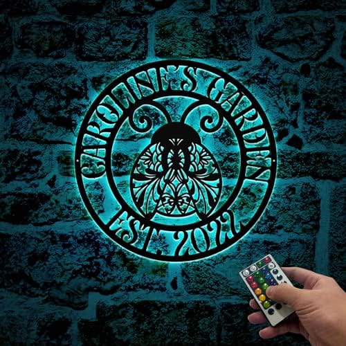 Amazon.com: CALILI Custom Name With Led Light - Personalized Ladybug ...
