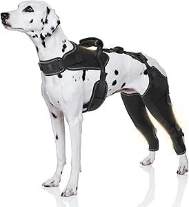 Amazon.com : Furtent Dog Leg Braces for Back Leg - Keeps Joints Warm ...
