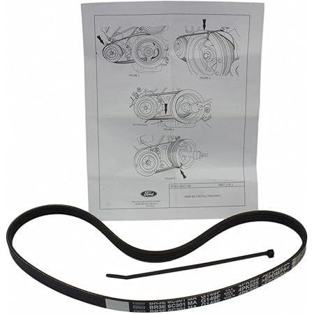 Amazon.com: Motorcraft Drive Belt : Automotive
