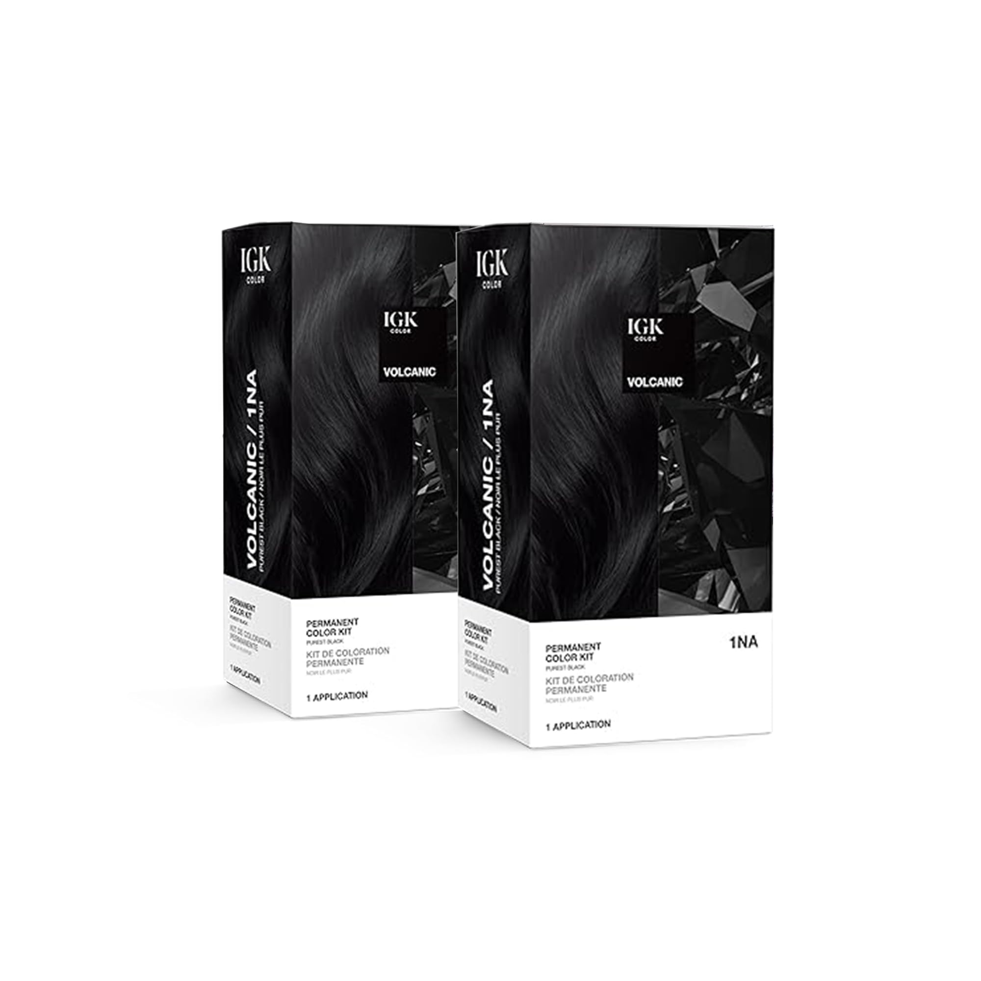 Igk Permanent Hair Color Kit 1na Volcanic Purest Black 100 | Desertcart ...