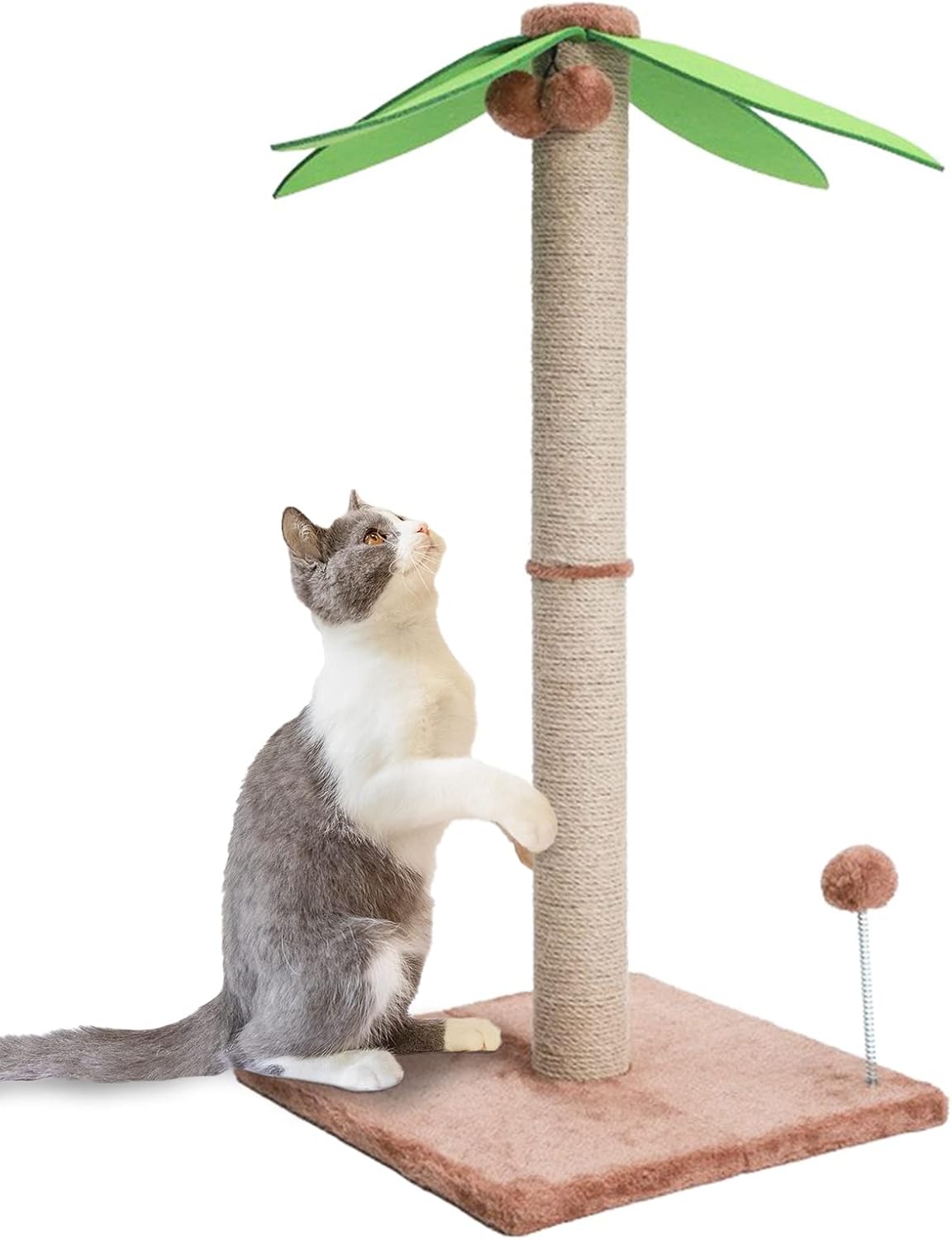 Amazon.com : BNOSDM 24" Small Cat Scratching Posts : Pet Supplies