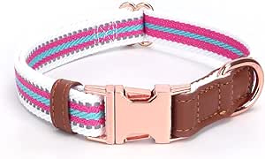 Amazon.com : Dog Collar Reflective, Multi-Colored Stripe Dog Collar ...