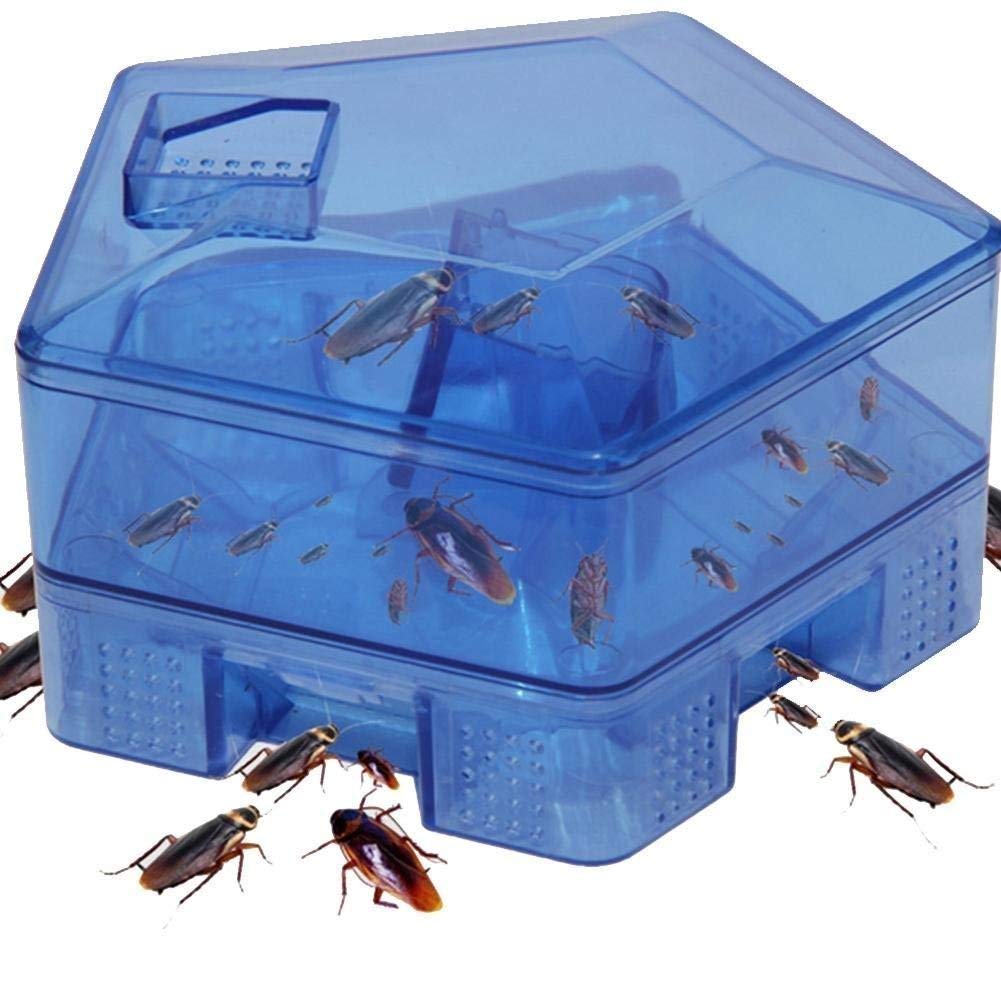 Buy Punit Creation Cockroach Traps Box Cockroach Bug Roach Catcher ...