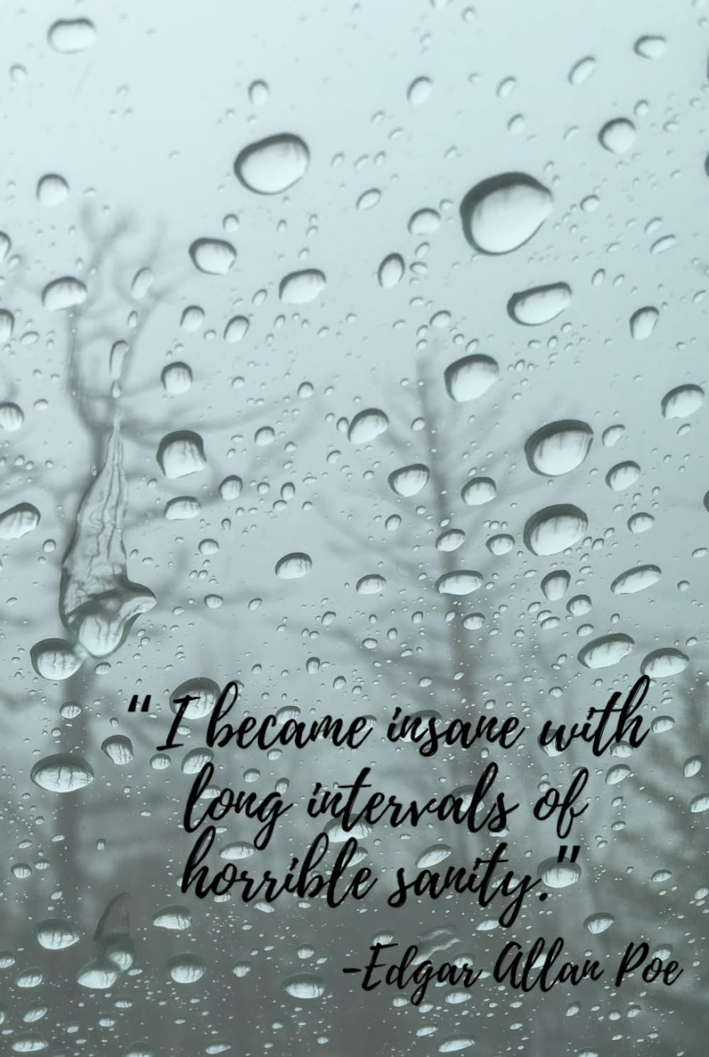 Edgar Allan Poe Notebook: Moody raindrops blank journal Thought Diary ...