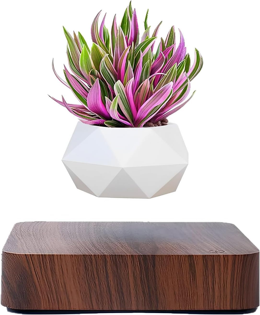 Amazon.com: BandDlevs Levitating Plant Pot - Floating Plant Pot for ...