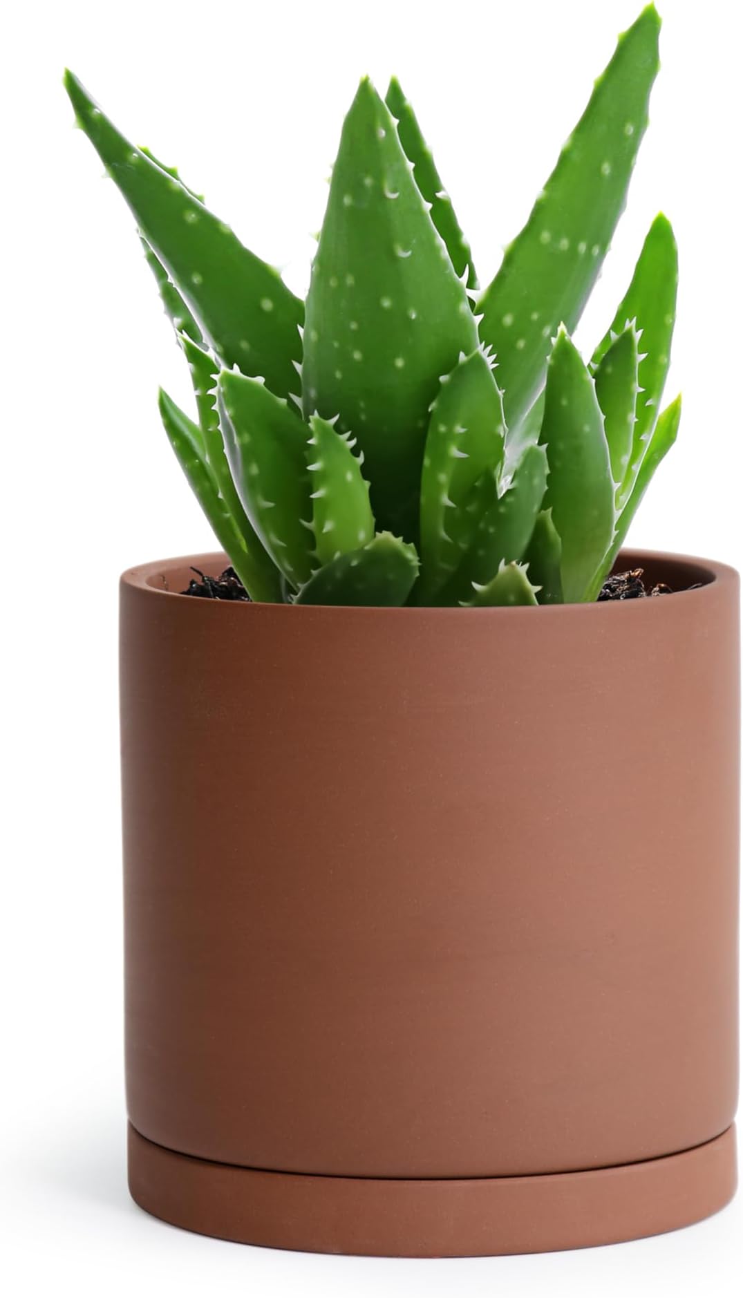 Amazon.com : D'vine Dev 5 Inch Rust Terracotta Plant Pot with Drainage ...