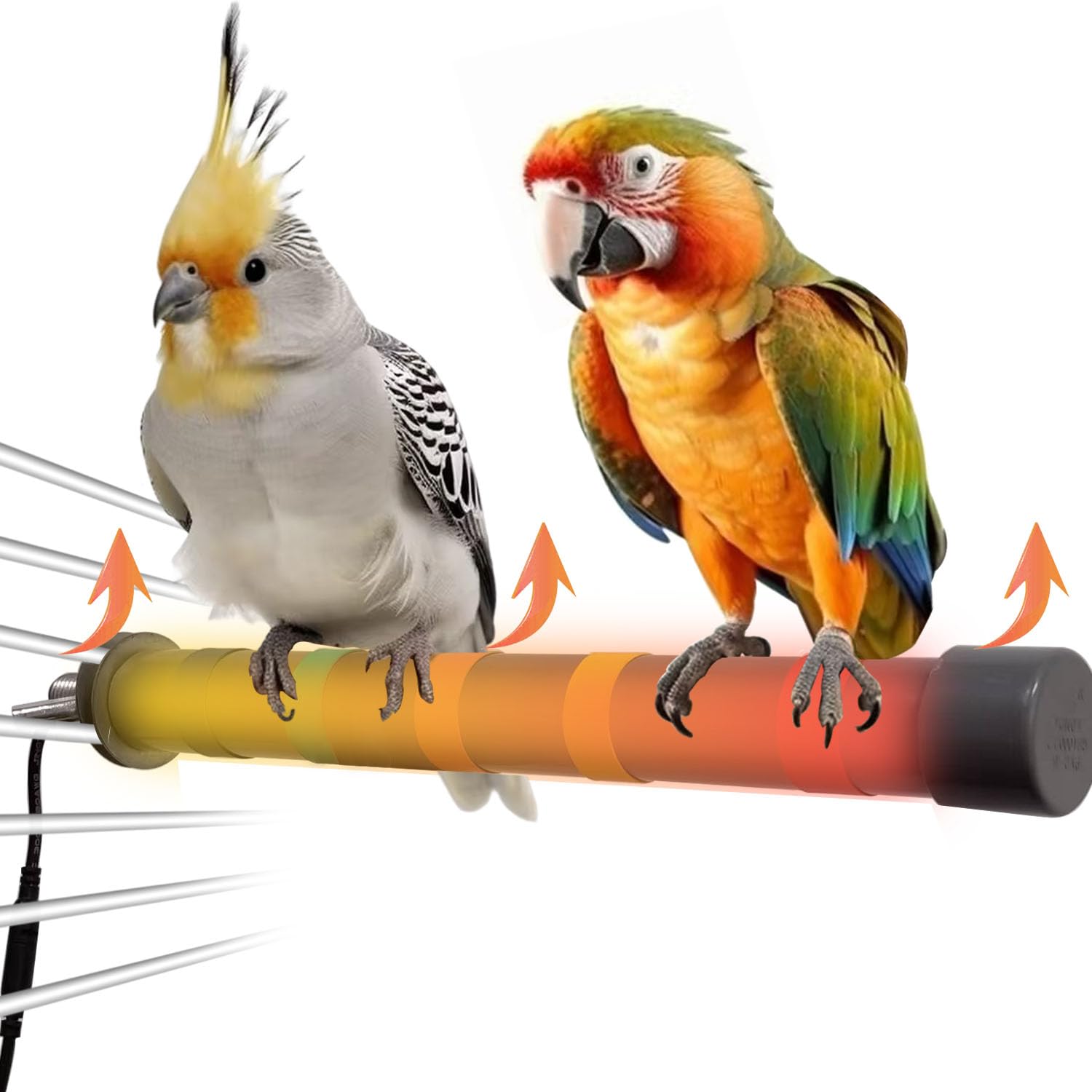 H&G Lifestyles Heated Bird Perch Thermostatical Warm Heating Perches ...