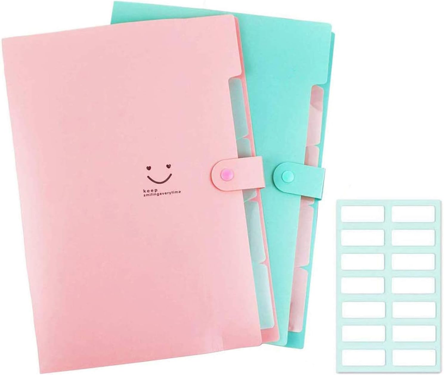 Amazon.com : Expanding File Folder 5 Pockets Accordion Document ...