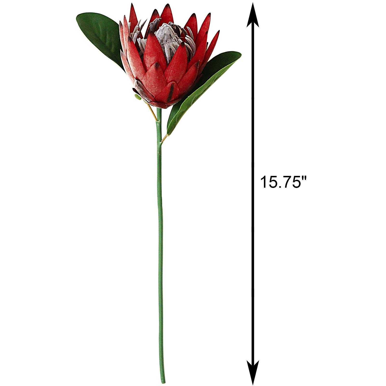 Snapklik.com : Tinsow Artificial Protea Cynaroides For Flower Arrangements, Faux Protea For ...