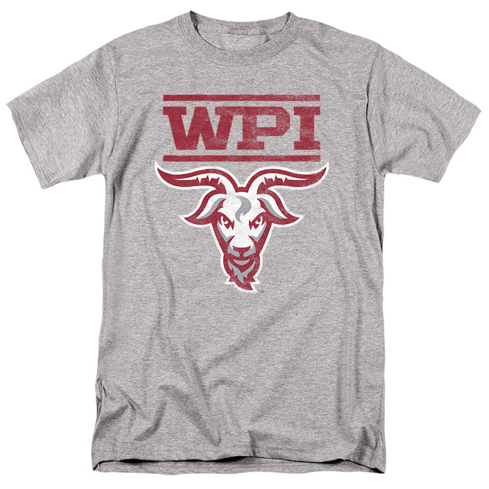 Wpi Goat Logo