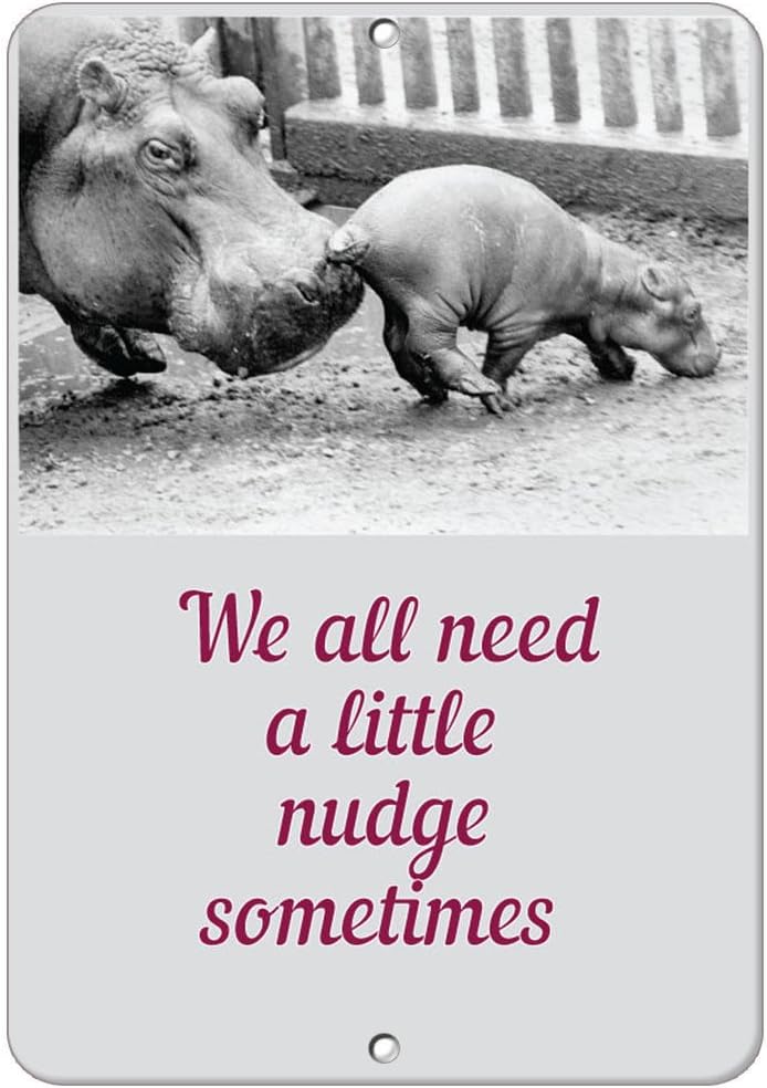 Amazon.com: We All Need A Little Nudge Sometimes Funny Quote Aluminum ...