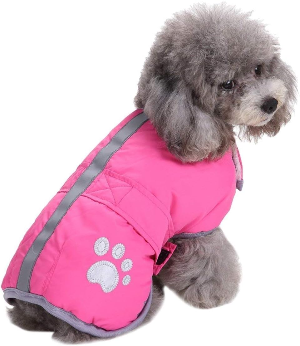Amazon.com : JoyDaog Warm Fleece Dog Coats for Small Dogs,D-Rings ...