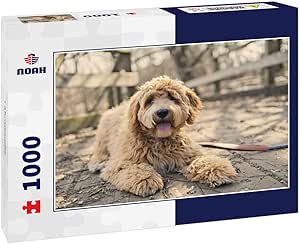 Amazon.com: Noah Jigsaw Puzzle Labradoodle 1000 Pieces : Toys & Games