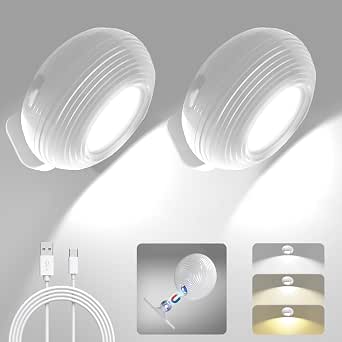 Sunwish LED Wall Mounted Lights 2 Pcs, 3 Color Dim Temperature ...