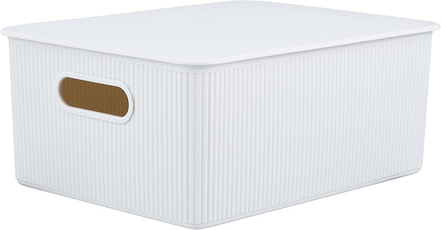 Amazon.com: Decorative Plastic Storage Bins with Lid, Large White Smoke ...