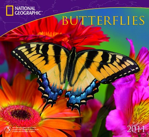 National Geographic Butterflies 2011 Calendar : Zebra Publishing Corp ...