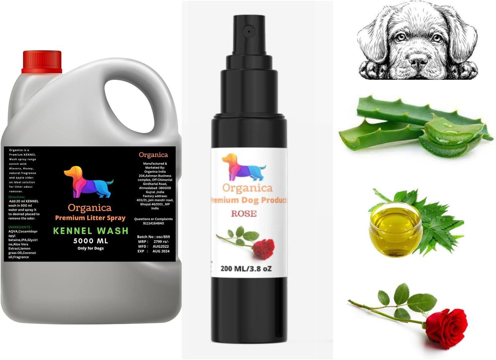 Buy Organica Kennel Wash | 5000 ML with Dog Deo 100 ml Rose Fraganace ...