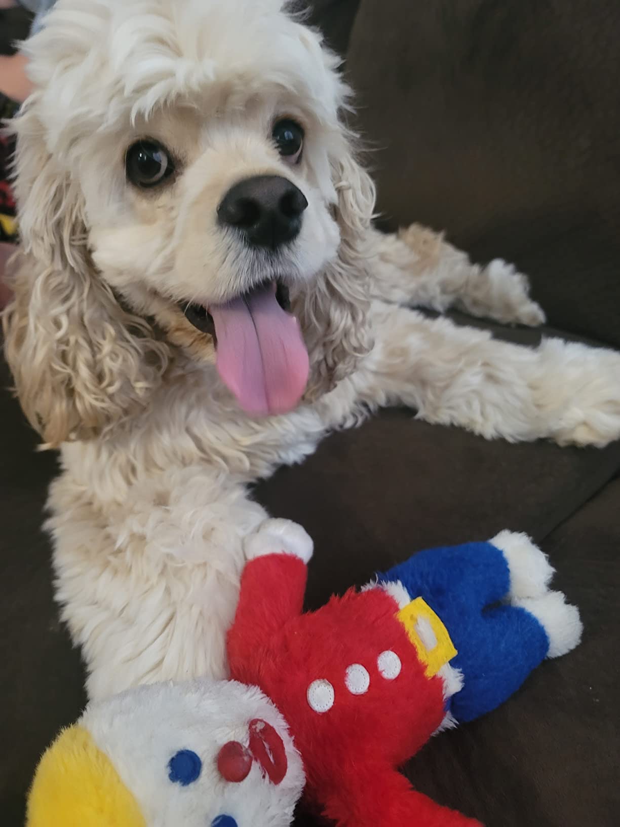 $1/mo - Finance Multipet Mr. Bill Plush Toy, Model 16715, Red, 3 inches ...