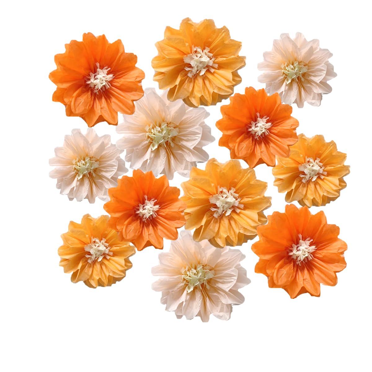 Amazon.com: 12pcs 10in 12in Paper Flowers Tissue Flowers Pom Paper Pom ...