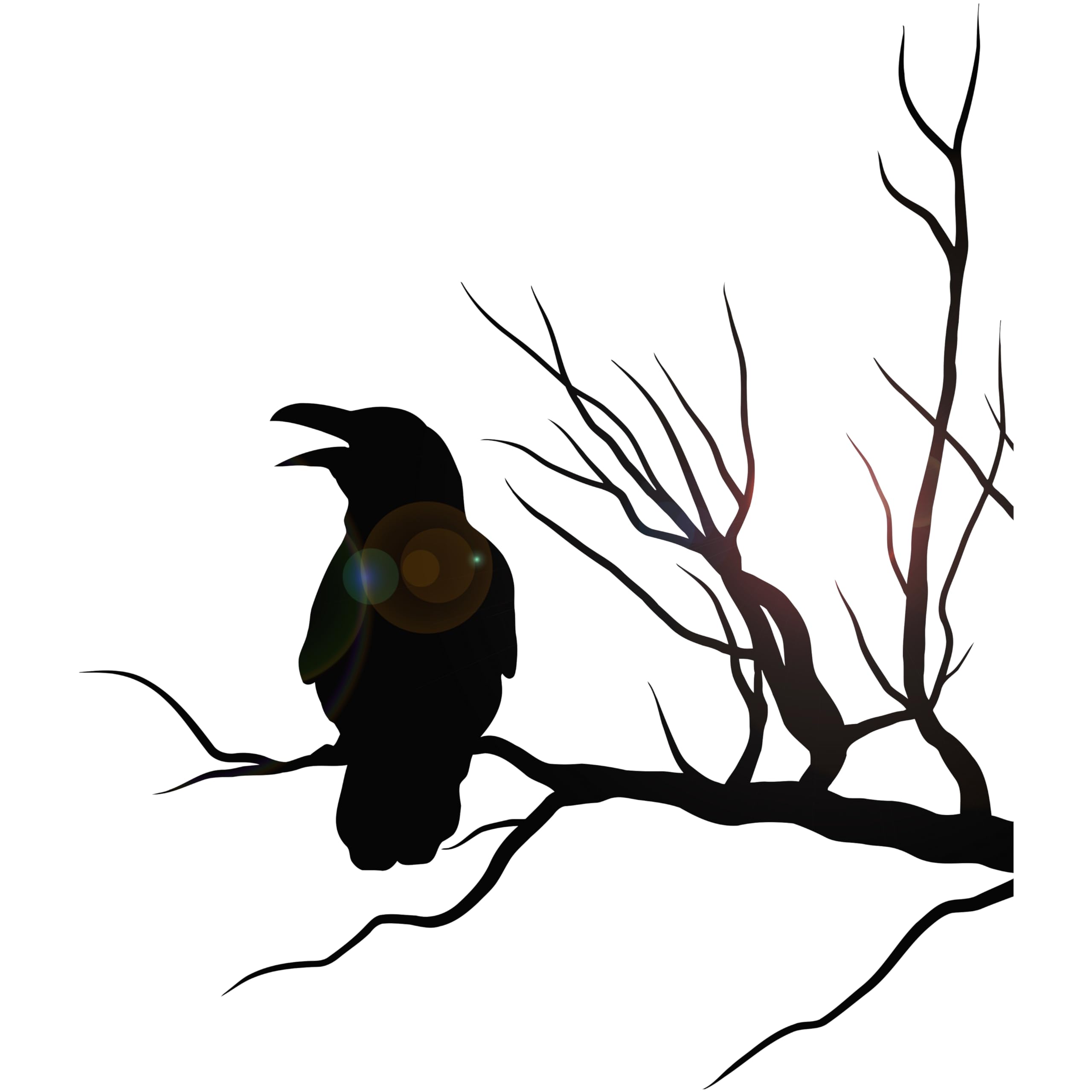 Amazon.com: Vinyl Wall Decal Crow Silhouette Black Raven On Tree Branch ...