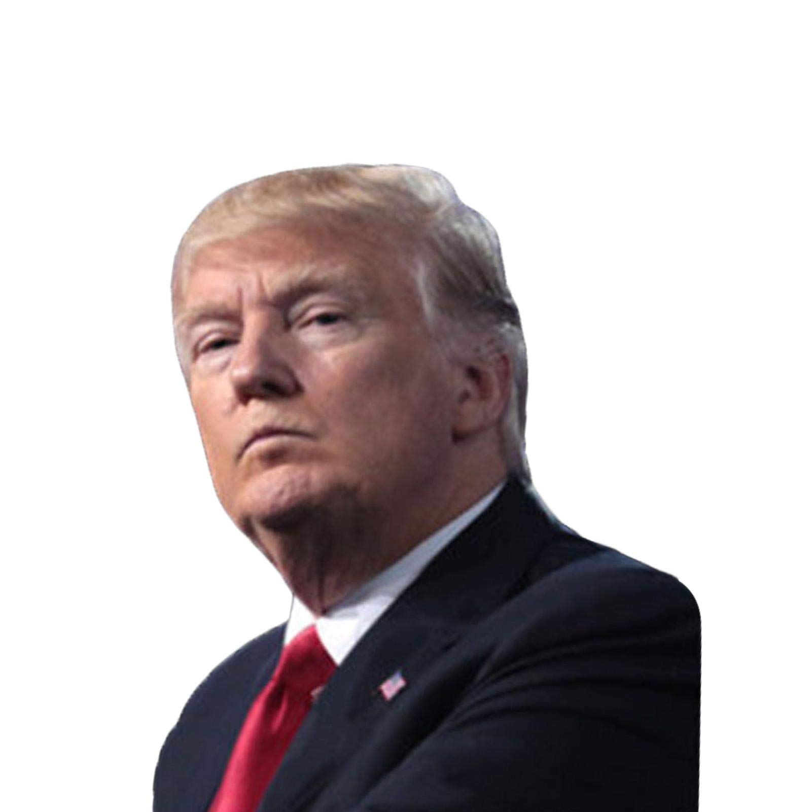 Buy Car Window Sticker Decals - Donald Trump Thumbs-up,Joseph Biden ...