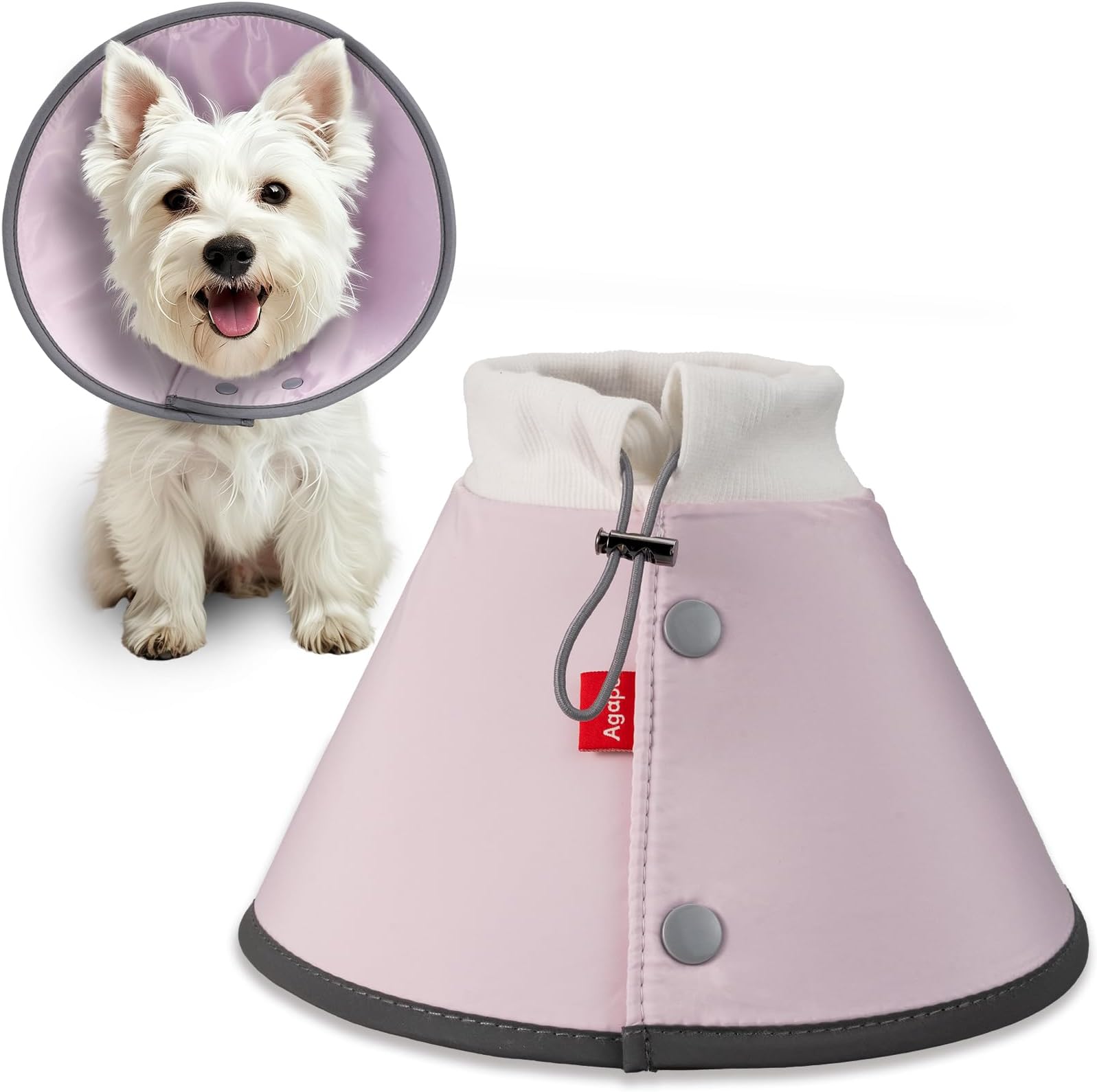 Amazon.com : All Four Paws Comfy Cone Pet Cone for Dogs, Cats, Large ...